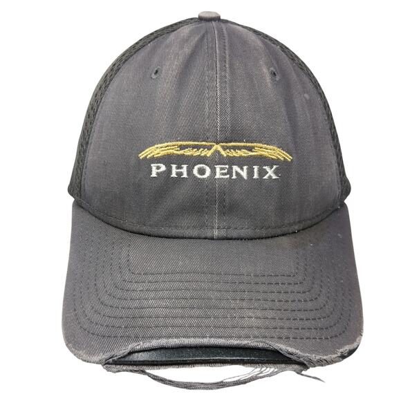 New Era | Accessories | Phoenix Fitted Hat Gray Large Embroidered Logo ...